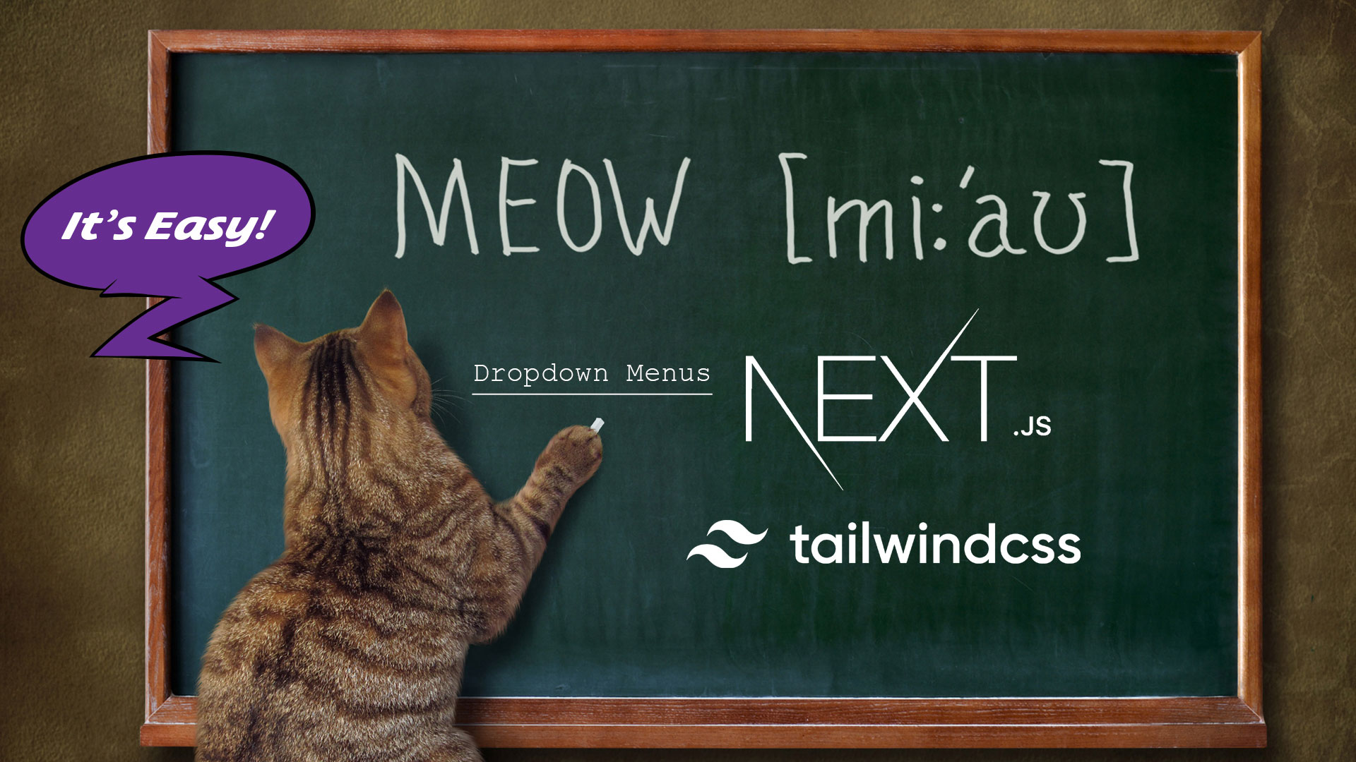 Easy Dropdown Menus With Next.js and Tailwind CSS | Designly