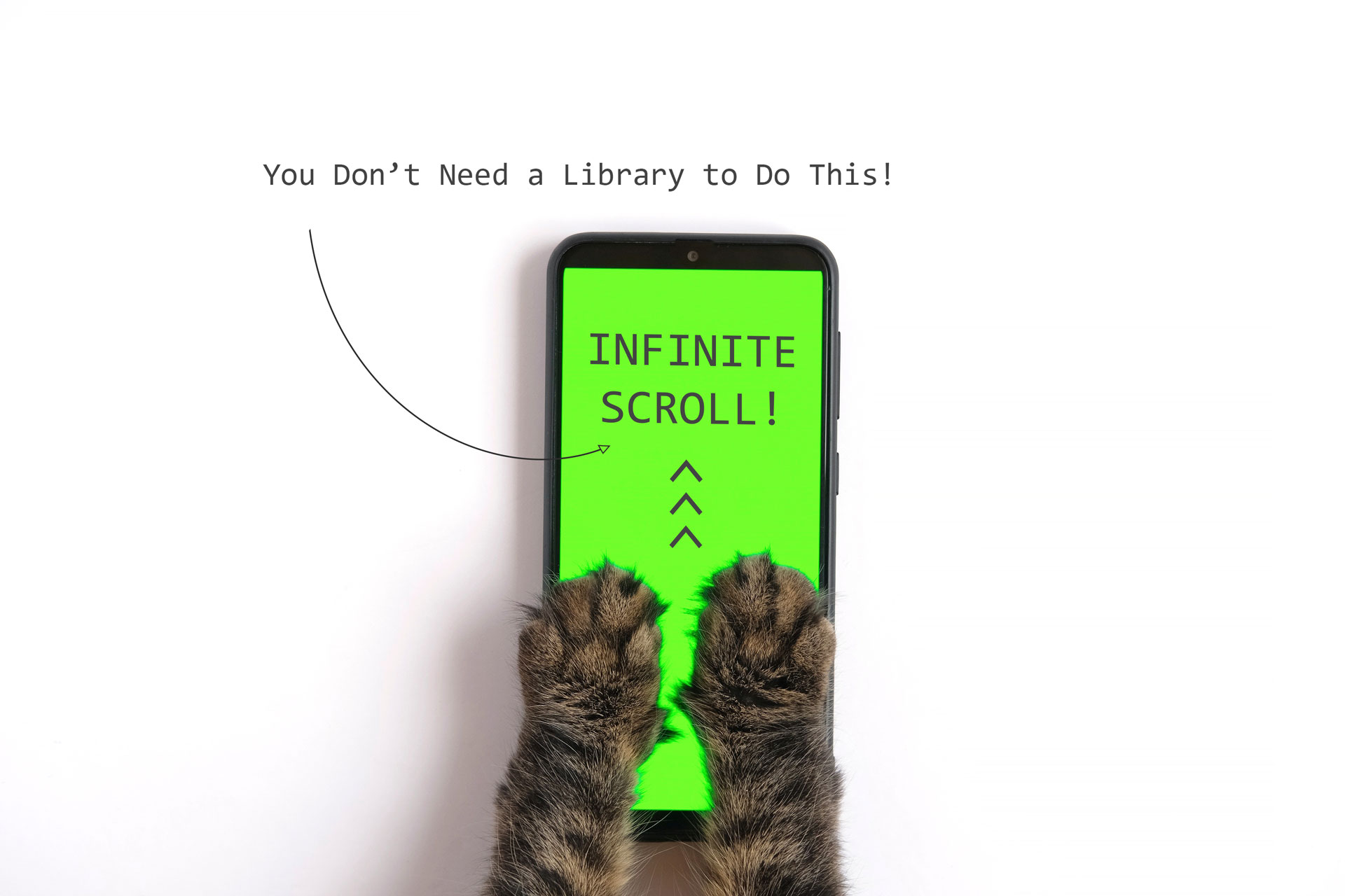 How To Create An Infinite Scroll Component In Nextjs React Updated Designly